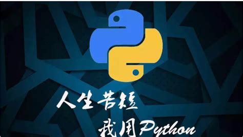 247个python经典有趣实例，代码齐全可复制，pdf版拿走即用！ 知乎