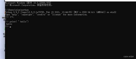 安装稳定版python 392python39哪个版本最稳定 Csdn博客
