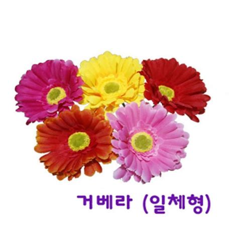 거베라 일체형 꽃장수