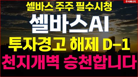 셀바스ai 투자경고 해제 D 1 천지개벽 승천합니다 셀바스 주주 필수시청 삼성전자인수합병 솔트룩스 코난테크놀로지 챗gpt관련주 Ai관련주 주도주 관심종목 Youtube
