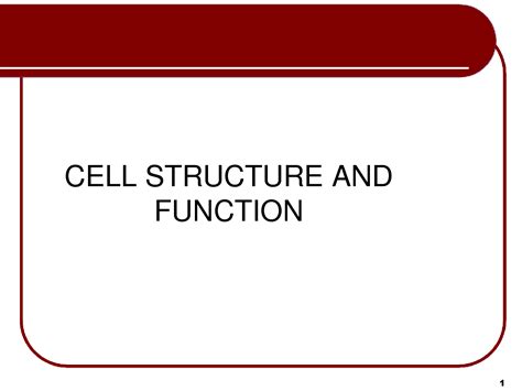Solution Cell Structure And Function Presentation Studypool