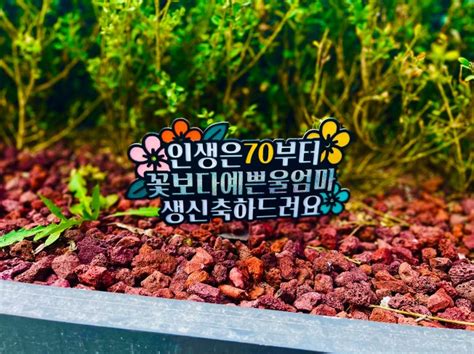 나만의 맞춤 토퍼 제작이벤트 여행 꾸미기 아이템 크몽