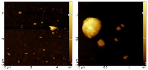 13 Left Afm Topographic Mappings Of Several N Cl 20 Hmx Nano Plates Download Scientific