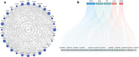 A Proteinprotein Interactions Of Targets Predicted To Be Relevant To Download Scientific