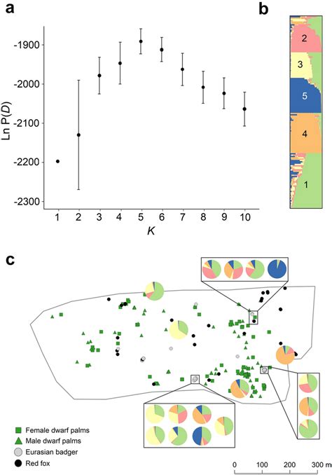 Genetic Structure Of Chamaerops Humilis Seedlings With Accounting For