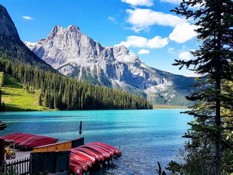 레이크 루이스 And 요호 국립공원 And 모레인 호수 투어캘거리 출발 Kkday