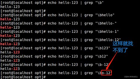 Linux命令教程：grep与sed的正则表达式应用 Csdn博客