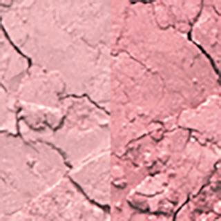 Relouis Румяна для лица PRO BLUSH DUO 202 5 г — купить в Москве