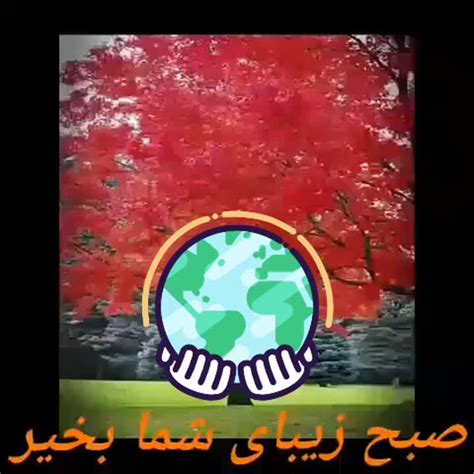 Video Mojgan Zar Posted On Linkedin