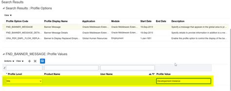 How To Add Banner Message In Oracle Fusion ERP Kaamilant