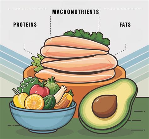 Macronutrients Unveiled A Comprehensive Look At Their Roles In A Balanced Diet Star Two