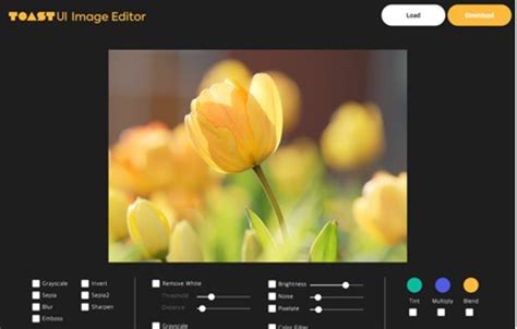 Toast Ui Image Editor Tui Image Editor Is An Open Source Full Featured Alternativeto