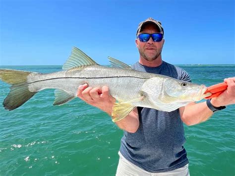 The Best Snook Rig Setup Gear Lures Bait And Techniques