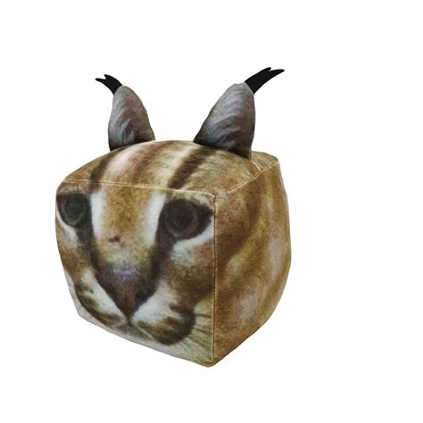 Roblox Raise A Floppa Cat Plush Toy Plushzania