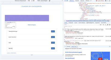Acuity Scheduler Block Remove Extra Space Customize With Code