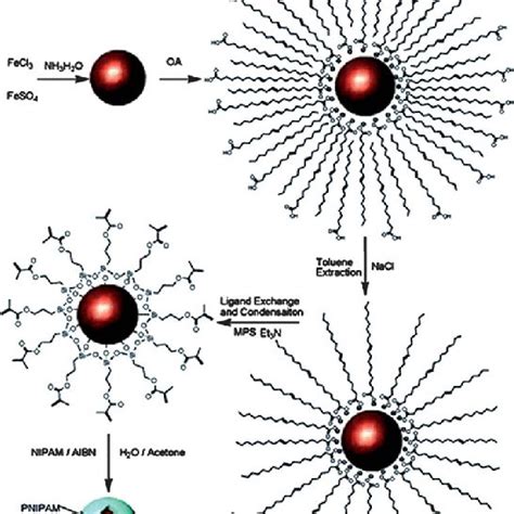 Nitroxide Mediated Radical Polymerization From The Surface Of Iron