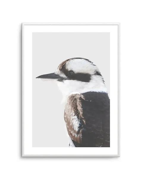 Australian Wildlife Photography Wall Art Print Kookaburra I Olive Et