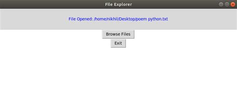 使用 tkinter 在 python 中的文件资源管理器 码农参考
