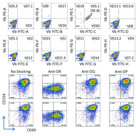 Clonality And Hla Restriction Of Cross Reactive T Cell Clone A V