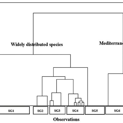dendrogram from the hierarchical clustering matrix of the biogeographic