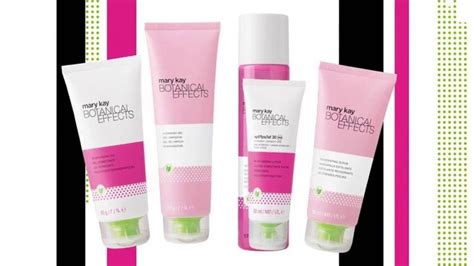 5 In 1 Mary Kay Evolution Of Botanical Effects® Value Set Mary Kay Mary Kay Botanical Effects