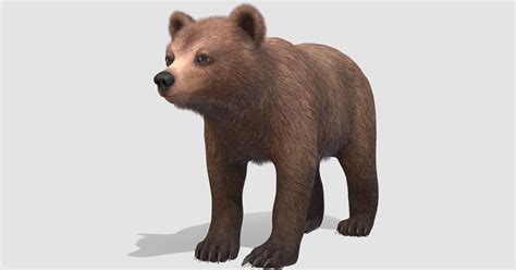 Bear Cub Characters Unity Asset Store
