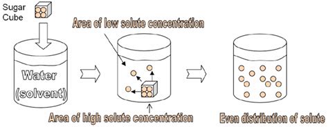 Diffusion Diagram