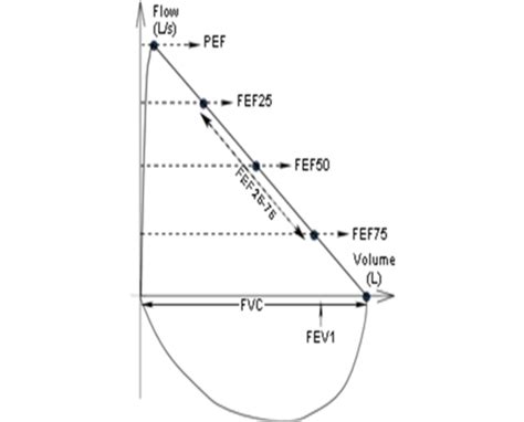 Cardiopulmonary Quiz PFT And Diagnostics Flashcards Quizlet
