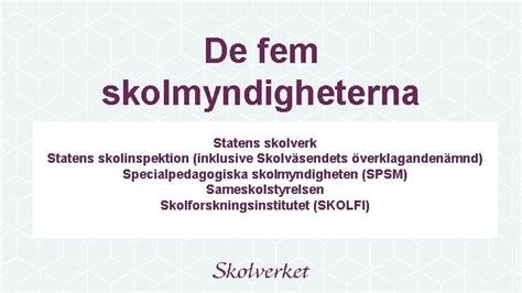 De Fem Skolmyndigheterna Statens Skolverk Statens Skolinspektion Inklusive