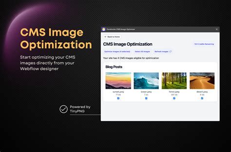 Devblocks CMS Image Optimizer App Webflow Apps Integrations