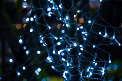 绕树灯串装饰灯图片素材 绕树灯串装饰灯设计素材 绕树灯串装饰灯摄影作品 绕树灯串装饰灯源文件下载 绕树灯串装饰灯图片素材下载 绕树灯串装饰灯背景素材 绕树灯串装饰灯模板下载 搜索中心