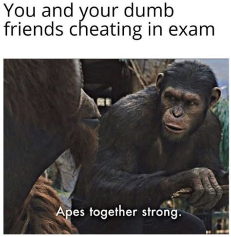 You And Your Dumb Friends Apes Together Strong Know Your Meme