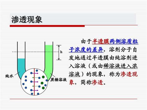 每日一题 2022 10 17 贪吃的夜猫子