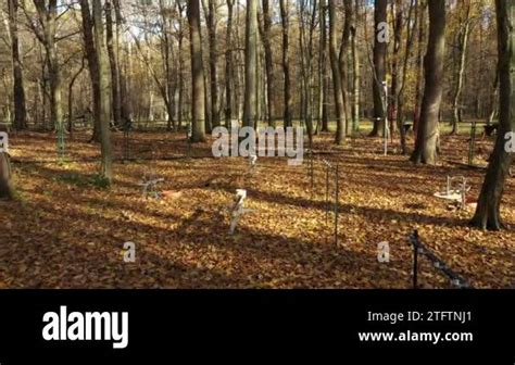 Science Station Scientific Measurement Of Respiration Tree Trunk Floodplain Forest Carbon