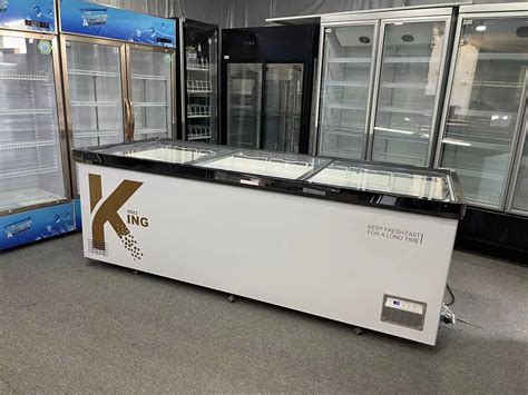 Large Capacity Deep Commercial Fridge Freezer Chest Freezer 2 Glass