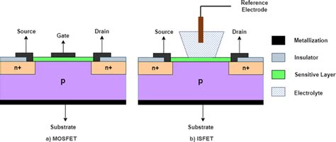 Schematic Architecture Of A Mosfet B Isfet Not To Scale Download Scientific Diagram