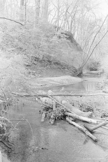 Mastering The Zone System Part 1 Zone System Metering