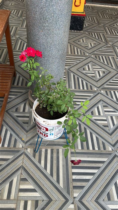 Kokatam Vinay Kumar Reddy On Linkedin Good Night