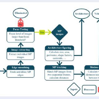 Image Processing Algorithm Download Scientific Diagram