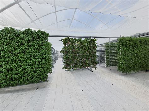 Kapoho Aquaponics