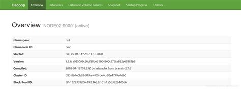 hadoop集群namenode启动失败 namenode启动不了 failed on connection csdn博客