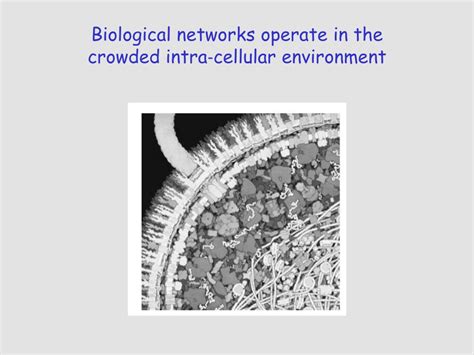 Ppt Computational Systems Biology An Introduction Powerpoint Presentation Id 2410104