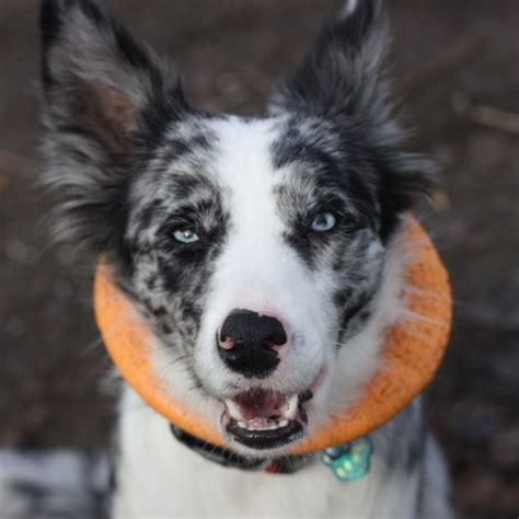 Stream а тебя это ебать не должно Music Listen To Songs Albums Playlists For Free On Soundcloud