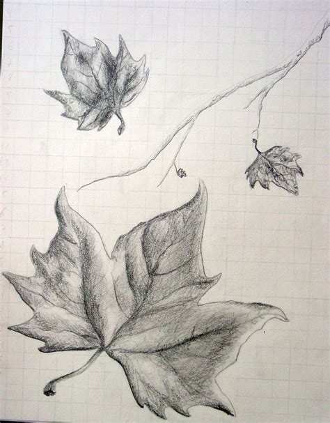 Pin De Jacobo En Bocetos Dibujos Hojas Tela Para Pintura De Flor