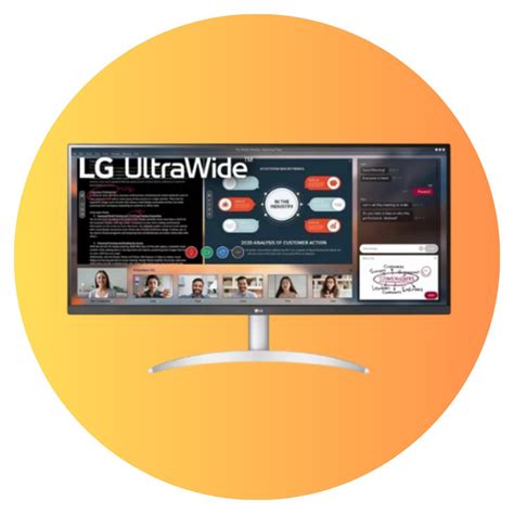 Monitors Hyper Microsystems Inc