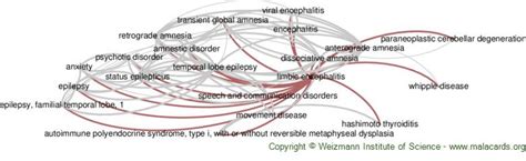 Limbic Encephalitis Disease Malacards Research Articles Drugs