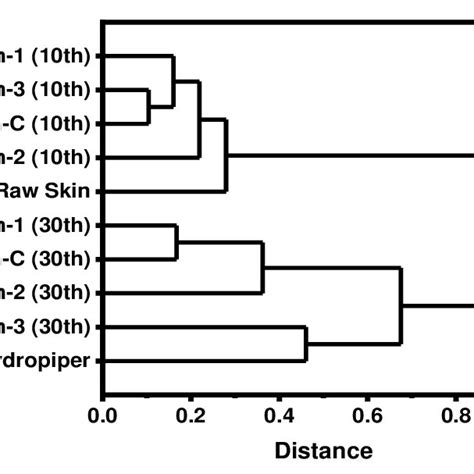 hierarchical cluster analysis hca of preserved goatskin using p