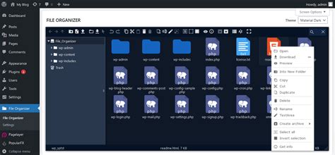 Fileorganizer 109 Launched Fileorganizer