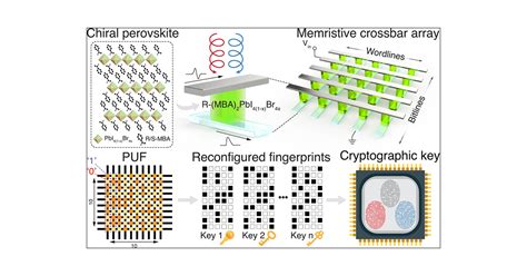 Chiroptical Synaptic Perovskite Memristor As Reconfigurable Physical Unclonable Functions Acs Nano