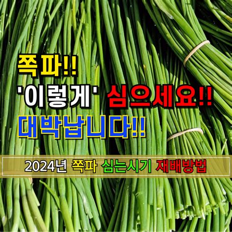 2024년 쪽파 심는 시기 및 재배방법 알아보기